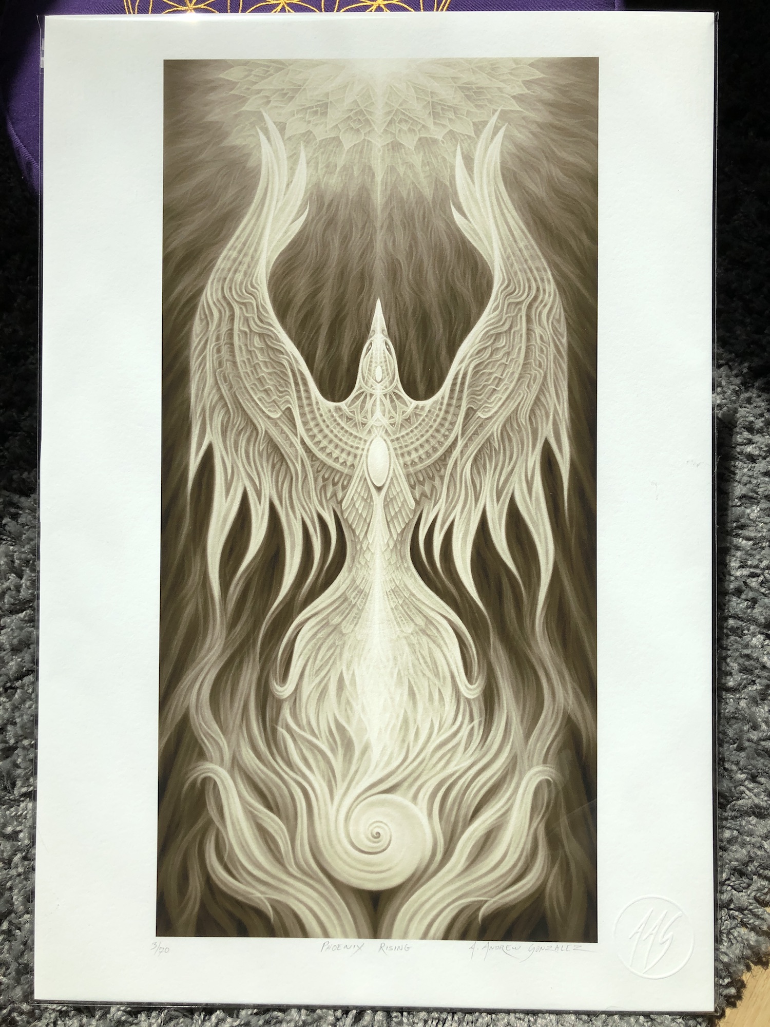 Phoenix Rising - Limited Edition · A. Andrew Gonzalez Art Shop · Online ...